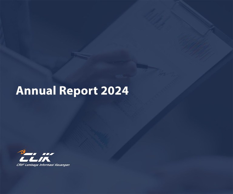 2024 Annual Report: Financial and Non-Financial Condition Disclosure ...